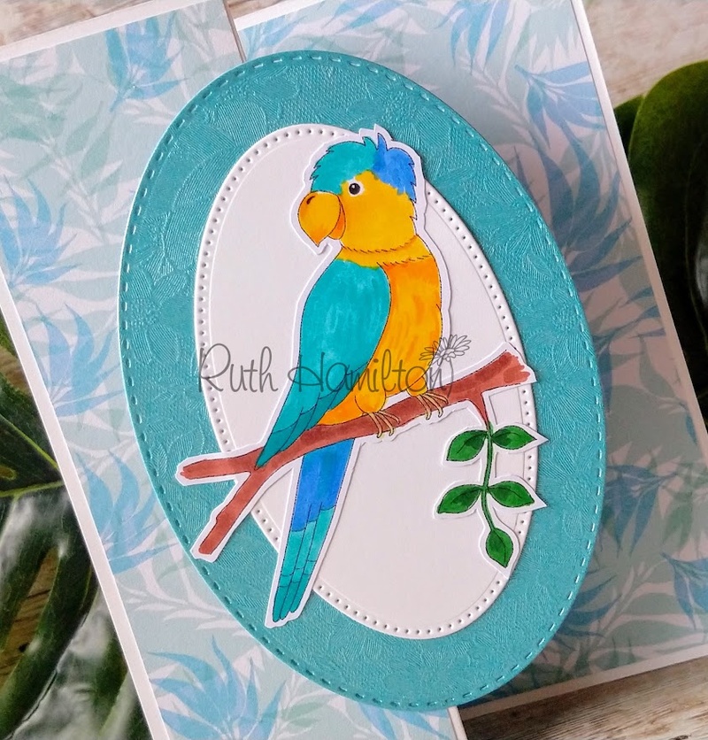 Cute Parrot | Ruth Hamilton Design